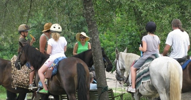 Horsemanship Summer Camp | Sunshine Riding Trails