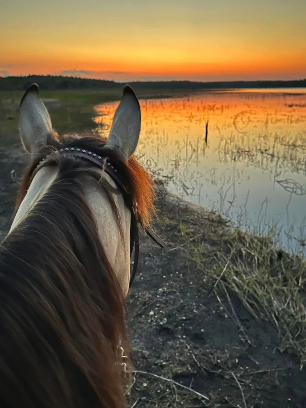 Camping in Chipley, Florida | Sunshine Riding Trails